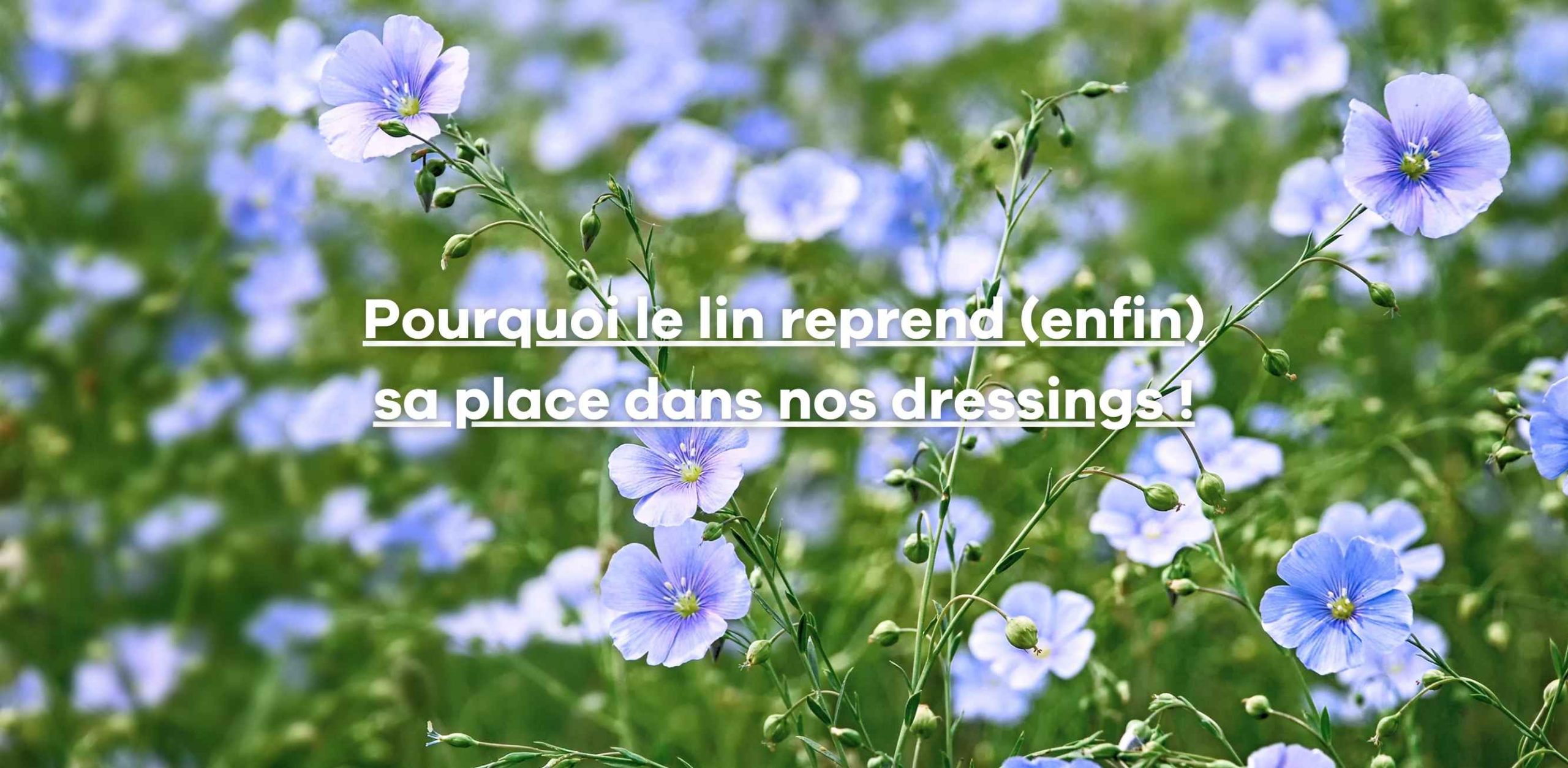 Pourquoi le lin reprend sa place - La Gentle Factory